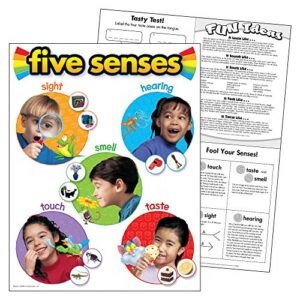 TREND enterprises, Inc. Five Senses Learning Chart, 17" x 22"