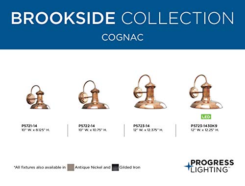 Progress Lighting P5721-14 Brookside Outdoor, 8-Inch Width x 9-3/4-Inch Height, Brown