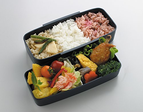 Skater FBA_3992 Lunch Box, black