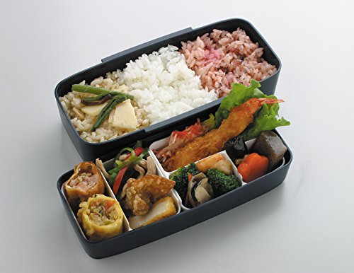 Skater FBA_3992 Lunch Box, black