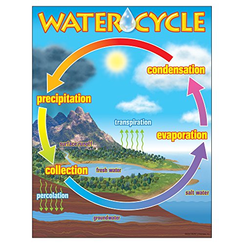 TREND enterprises, Inc. The Water Cycle Learning Chart, 17" x 22"