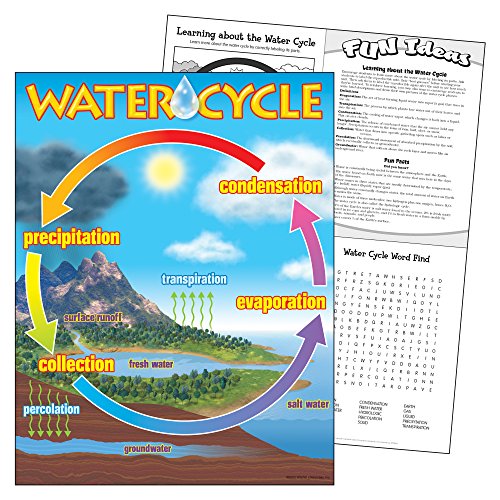 TREND enterprises, Inc. The Water Cycle Learning Chart, 17" x 22"