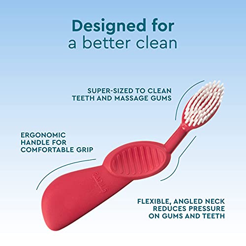 RADIUS Flex Brush BPA Free & ADA Accepted Toothbrush Designed to Improve Gum Health & Reduce Gum Issues - Right Hand - Purple/ Watermelon/ Mint Green - Pack of 3