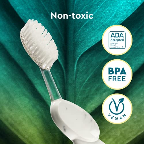 RADIUS Big Brush BPA Free & ADA Accepted Toothbrush Designed to Improve Gum Health & Reduce Gum Issues - Right Hand - Midnight Sky/ Marble/ Soda Pop Eco Grind - Pack of 3