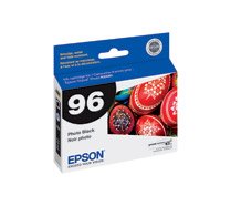 Epson UltraChrome K3 Inkjet Cartridge (Photo Black) (T096120)