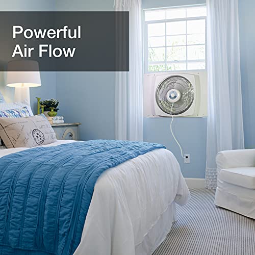 Air King 9155 Window Fan, 16-Inch,White