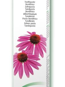 BIOFORCE USA, Toothpaste Echinacea - 3.5 oz