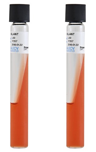 TSI (Triple Sugar Iron) Agar Slant, for The Identification of Enteric Bacteria, 8.0ml, 16x125mm Tube, Order by The Package of 20, by Hardy Diagnostics