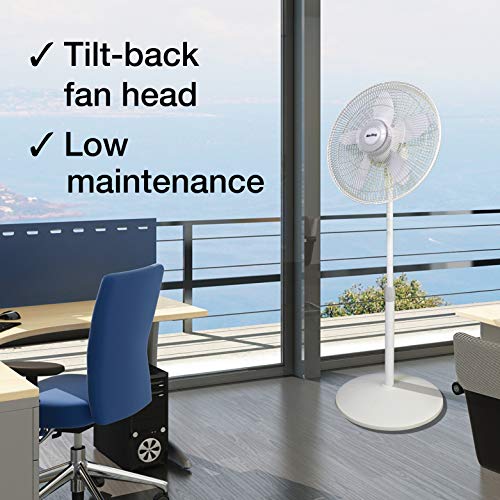 Air King 9119 18-Inch 3-Speed Commercial Grade Adjustable Oscillating Pedestal Fan, 1/20-Horsepower, White