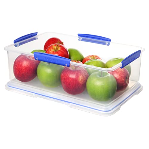 Sistema Large Food Storage Container with Lid for Lunch, Meal Prep, and Leftovers, Dishwasher Safe, 236oz, Clear/Blue