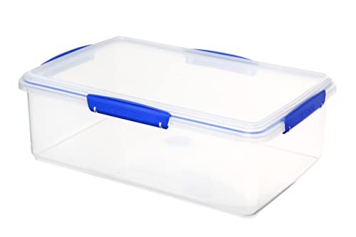 Sistema Large Food Storage Container with Lid for Lunch, Meal Prep, and Leftovers, Dishwasher Safe, 236oz, Clear/Blue