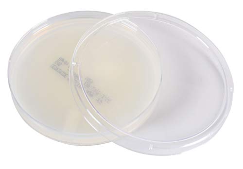 Cetrimide Select Agar, for The Cultivation and Isolation of Pseudomonas, USP, 26ml Deep Fill, 15x100mm Plate, Order by The Package of 10, by Hardy Diagnostics