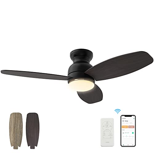 Ceiling Fan with Lights, Indoor & Outdoor Ceiling Fan，48" Low Profile DC Smart Ceiling Fan Works with Alexa, Siri, Google Home & Smart APP, 2 Colors of Reversible Blades, Dark Walnut & Light Wood