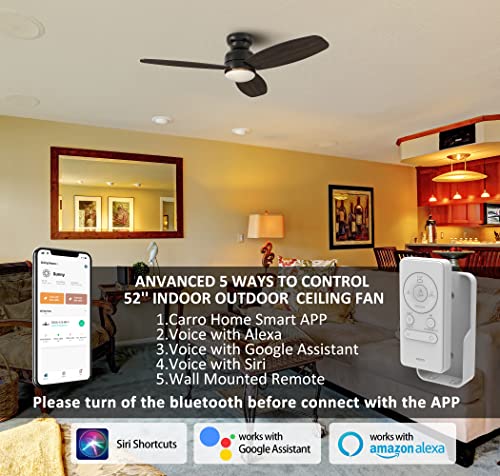 Ceiling Fan with Lights, Indoor & Outdoor Ceiling Fan，48" Low Profile DC Smart Ceiling Fan Works with Alexa, Siri, Google Home & Smart APP, 2 Colors of Reversible Blades, Dark Walnut & Light Wood