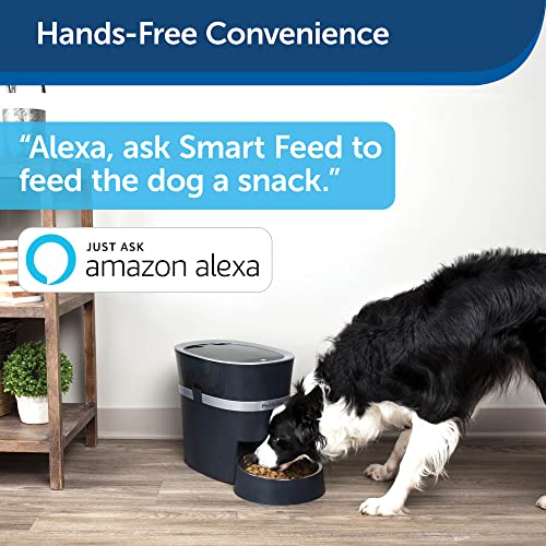 PetSafe Smart Feed Automatic Dog and Cat Feeder - Smartphone - Wi-Fi Enabled for iPhone and Android Smartphones