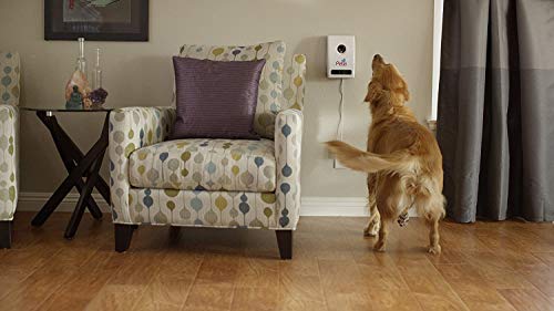 Wi-Fi Pet Camera & Treat Dispenser