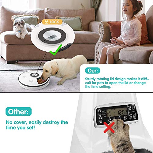 Chintu Automatic Cat Feeder, Auto Cat Food Dispenser - 6 Meals Pet Wet Food Dispenser for Small Dog with Programmable Timer Portion Control Timed Cat Feeder with Voice Reminder