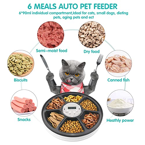 Chintu Automatic Cat Feeder, Auto Cat Food Dispenser - 6 Meals Pet Wet Food Dispenser for Small Dog with Programmable Timer Portion Control Timed Cat Feeder with Voice Reminder