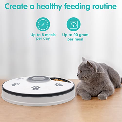 Chintu Automatic Cat Feeder, Auto Cat Food Dispenser - 6 Meals Pet Wet Food Dispenser for Small Dog with Programmable Timer Portion Control Timed Cat Feeder with Voice Reminder