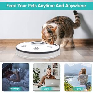 Chintu Automatic Cat Feeder, Auto Cat Food Dispenser - 6 Meals Pet Wet Food Dispenser for Small Dog with Programmable Timer Portion Control Timed Cat Feeder with Voice Reminder