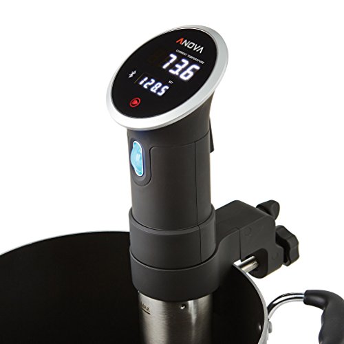 Anova Culinary Sous Vide Precision Cooker | Bluetooth | 800W (Discontinued)