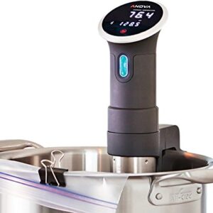 Anova Culinary Sous Vide Precision Cooker | Bluetooth | 800W (Discontinued)