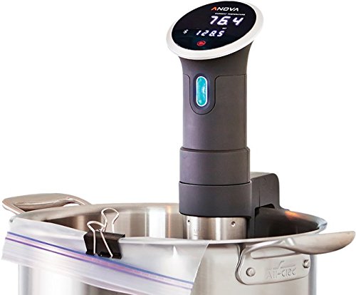 Anova Culinary Sous Vide Precision Cooker | Bluetooth | 800W (Discontinued)