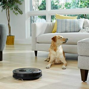 iRobot Roomba 890 Robot Vacuum- Wi-Fi Connected, Works with Alexa, Ideal for Pet Hair, Carpets, Hard Floors