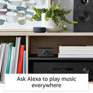 Echo Link - Stream hi-fi music to your stereo system