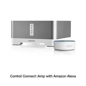 Sonos Connect: Amp - Wireless Home Audio Amplifier for Streaming Music, Amazon Certified and Works With Alexa