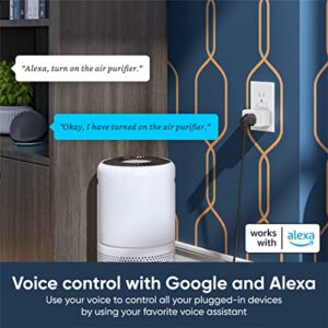 Wyze Plug, 2.4GHz WiFi Smart Plug, Works with Alexa, Google Assistant, IFTTT, No Hub Required, One-Pack, White – A Certified for Humans Device