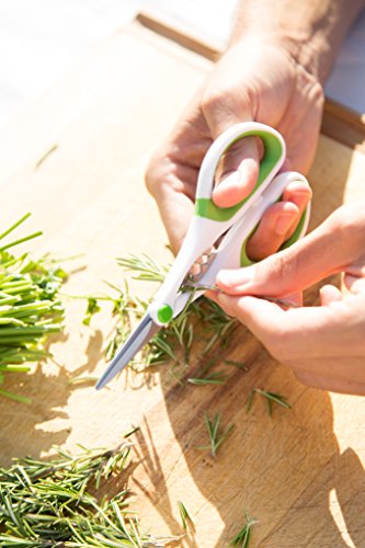 ZYLISS Herb Scissors - Trimming Weeds and Flower Buds 8.5 x 4.2 x 0.4 inches