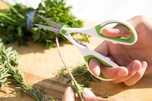 ZYLISS Herb Scissors - Trimming Weeds and Flower Buds 8.5 x 4.2 x 0.4 inches