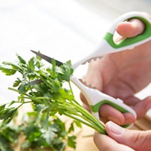 ZYLISS Herb Scissors - Trimming Weeds and Flower Buds 8.5 x 4.2 x 0.4 inches