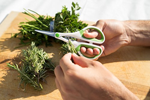 ZYLISS Herb Scissors - Trimming Weeds and Flower Buds 8.5 x 4.2 x 0.4 inches