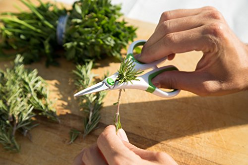 ZYLISS Herb Scissors - Trimming Weeds and Flower Buds 8.5 x 4.2 x 0.4 inches