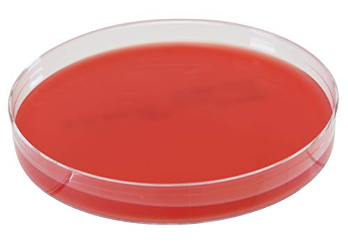 Columbia CNA Agar (Colistin and Nalidixic Acid), with 5% Sheep Blood, for the Selective Isolation of Gram Positive Bacteria, 15x100mm Plate, Order by the Package of 10 plates, by Hardy Diagnostics