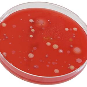 Columbia CNA Agar (Colistin and Nalidixic Acid), with 5% Sheep Blood, for the Selective Isolation of Gram Positive Bacteria, 15x100mm Plate, Order by the Package of 10 plates, by Hardy Diagnostics