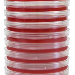 Columbia CNA Agar (Colistin and Nalidixic Acid), with 5% Sheep Blood, for the Selective Isolation of Gram Positive Bacteria, 15x100mm Plate, Order by the Package of 10 plates, by Hardy Diagnostics