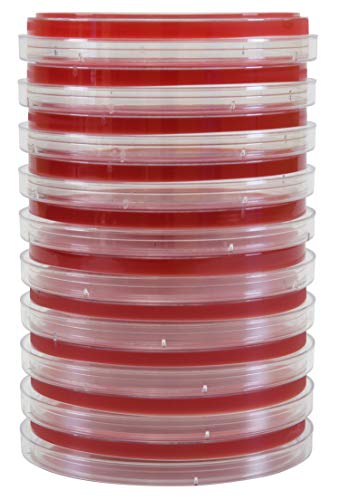 Columbia CNA Agar (Colistin and Nalidixic Acid), with 5% Sheep Blood, for the Selective Isolation of Gram Positive Bacteria, 15x100mm Plate, Order by the Package of 10 plates, by Hardy Diagnostics