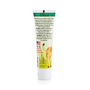 Xlear Spry Tooth Gel Original Flavor (Pack of 2)