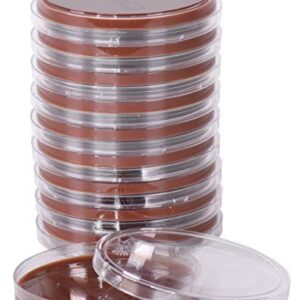 Chocolate Agar with Bacitracin, for Haemophilus Isolation, 15x100mm Plate, Order by the Package of 10, by Hardy Diagnostics