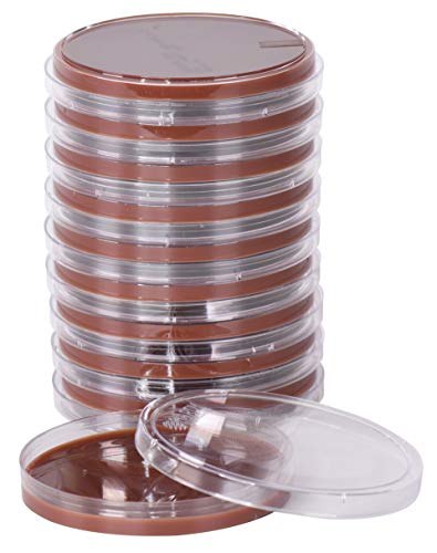 Chocolate Agar with Bacitracin, for Haemophilus Isolation, 15x100mm Plate, Order by the Package of 10, by Hardy Diagnostics