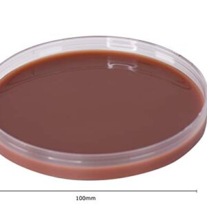 Chocolate Agar with Bacitracin, for Haemophilus Isolation, 15x100mm Plate, Order by the Package of 10, by Hardy Diagnostics