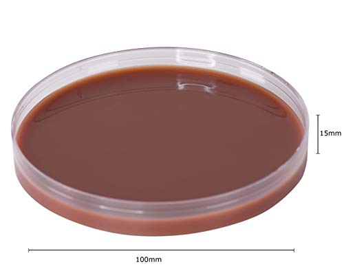 Chocolate Agar with Bacitracin, for Haemophilus Isolation, 15x100mm Plate, Order by the Package of 10, by Hardy Diagnostics