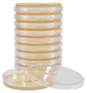 tryptic soy agar (tsa), usp, a general growth medium for microorganisms, 10 plates per pack, by hardy diagnostics