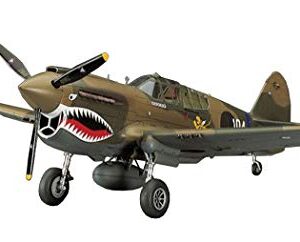 Hasegawa 1/48 P-40E Warhawk