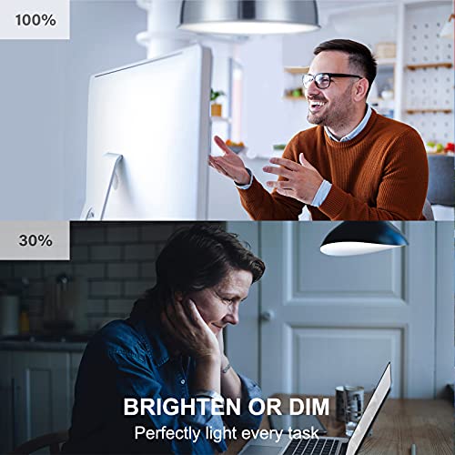 Sengled Alexa Light Bulb, WiFi Bulbs, Smart Bulbs, Smart Bulbs That Work with Alexa and Google Assistant, A19 Daylight (5000K) No Hub Required, 800LM 60W High CRI>90 Equivalent, 4 Pack