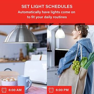 Sengled Smart Light Bulbs, WiFi Light Bulbs No Hub Required, Smart Bulbs That Work with Alexa, Google Home, Smart LED Light A19 Daylight (5000K), 800LM 60W Equivalent, 2 Pack