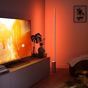 Philips Hue Gradient Signe Floor Lamp, Compatible with Alexa, Apple HomeKit and Google Assistant, Black